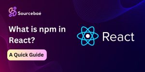 What is npm in React? - SourceBae