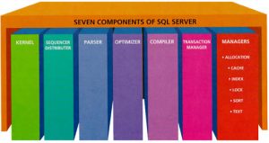 What is SQL, and What are its Key Components? – SourceBae