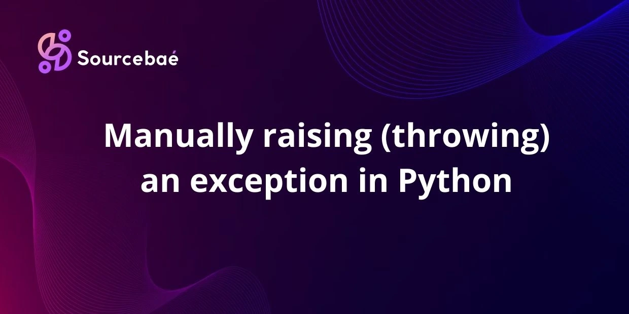 Manually raising (throwing) an exception in Python - SourceBae