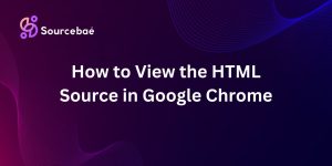 How to View the HTML Source in Google Chrome - SourceBae